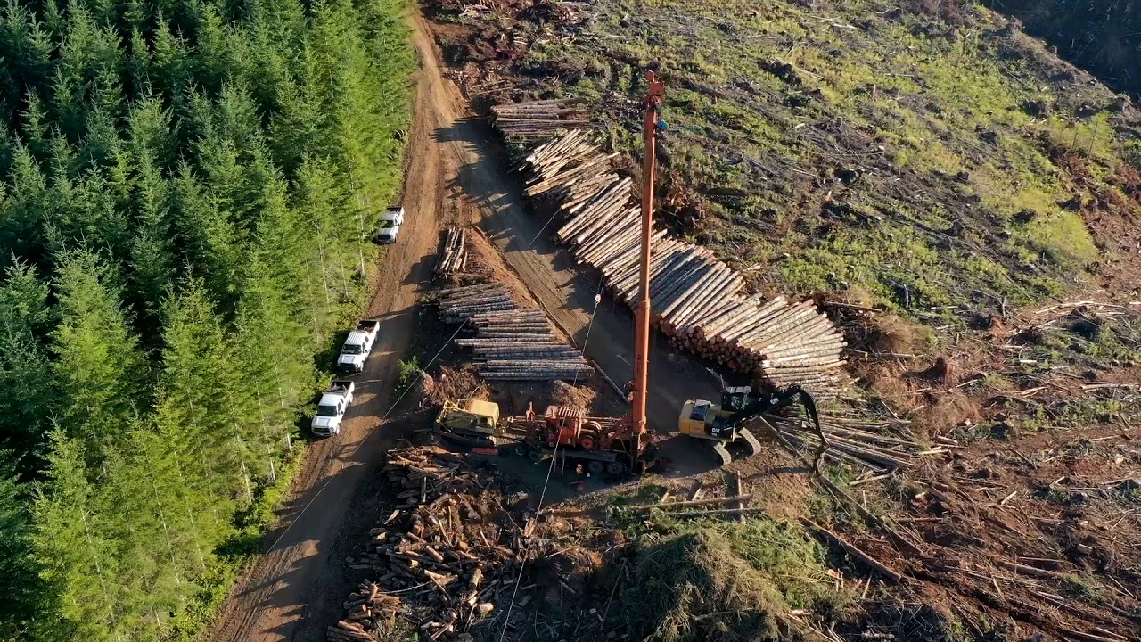 Evenson Logging Time-Lapse - YouTube