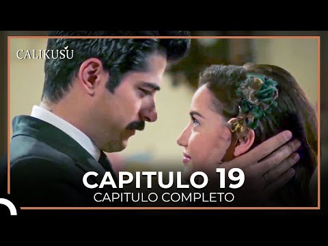 Calikusu Capitulo 19