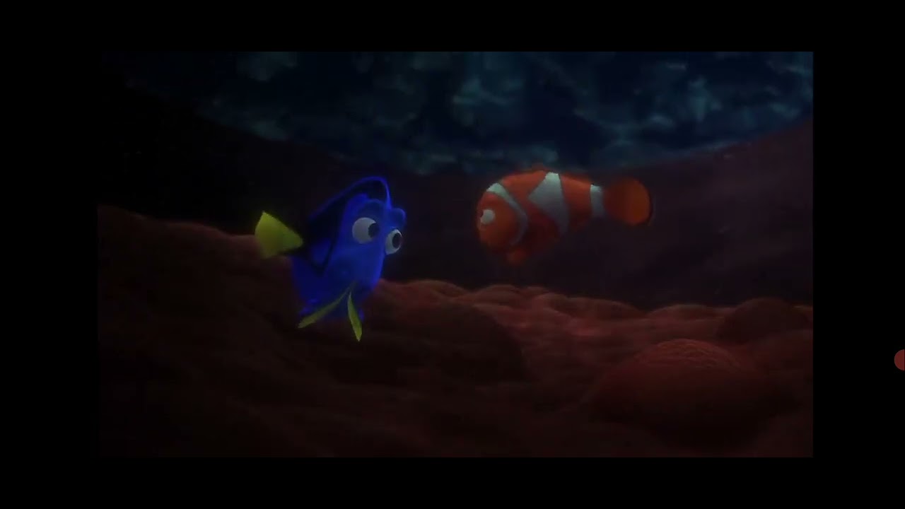 Finding Nemo in the whales mouth session - YouTube