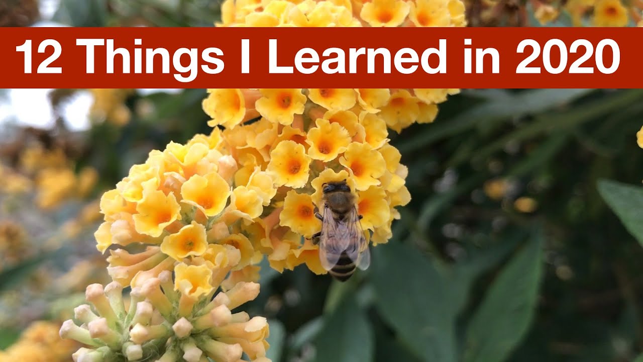 12 Things I Learned in 2020 - YouTube