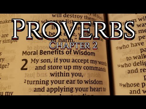 Proverbs Chapter 2 - Proverbs 31 Day Challenge - Bible Reading - YouTube