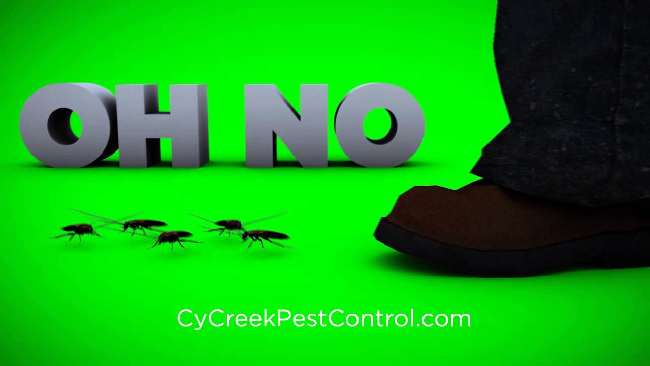 Say Goodbye to Bugs - Cypress Creek Pest Control - YouTube
