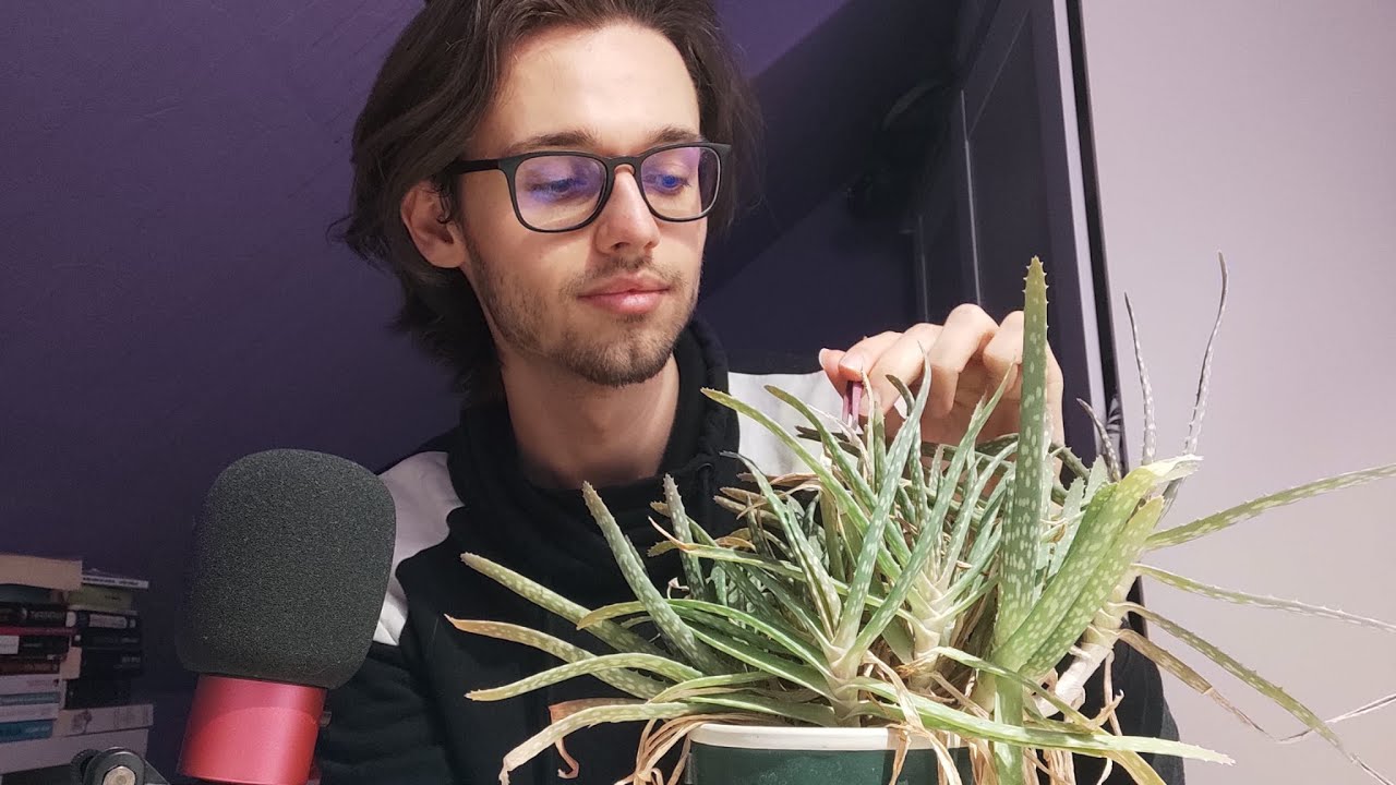 ASMR - Giving my plant a haircut (whispering, plucking and nature ...