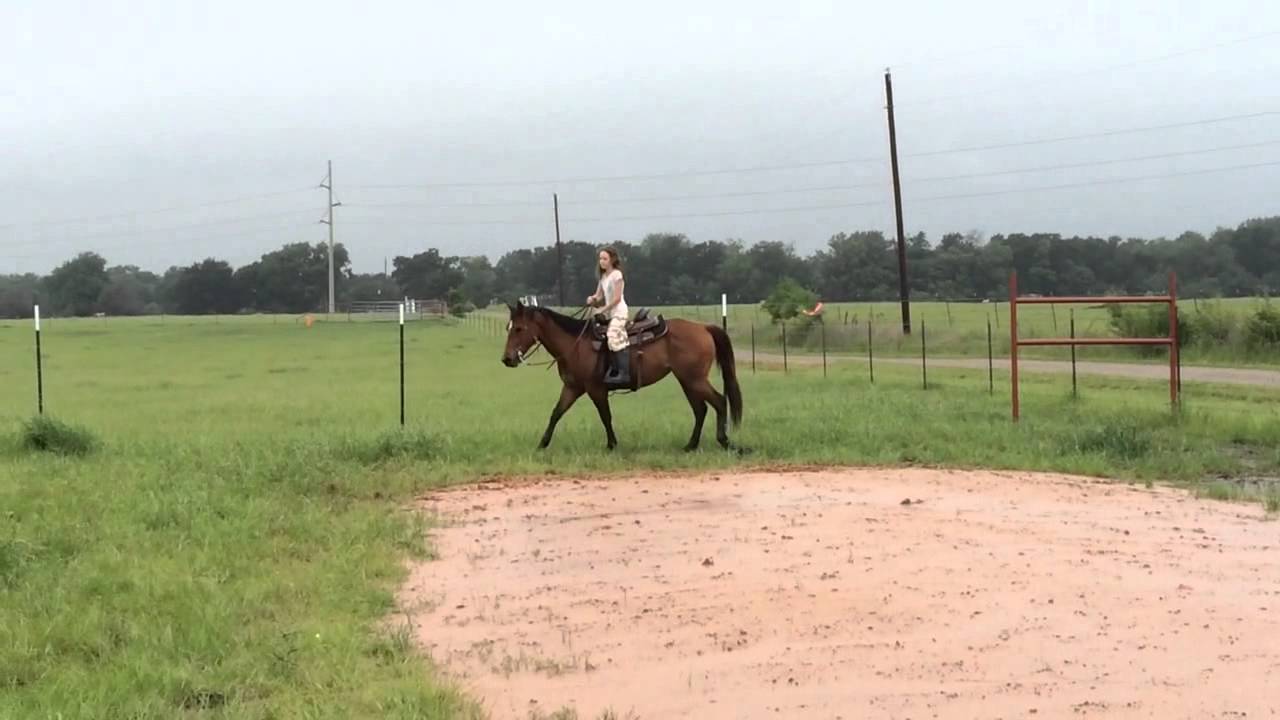 Tyra loping Shiner through the mud on the 3B Ranch. - YouTube