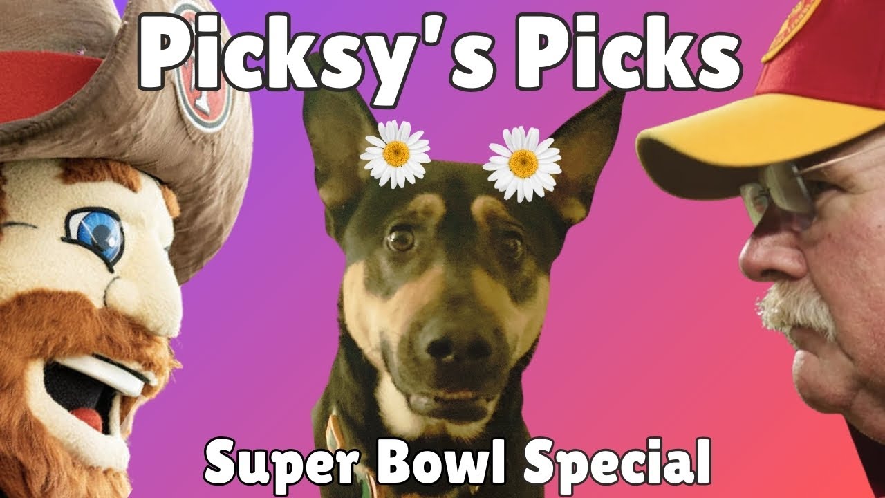 Picksy's SB Picks!!! - YouTube
