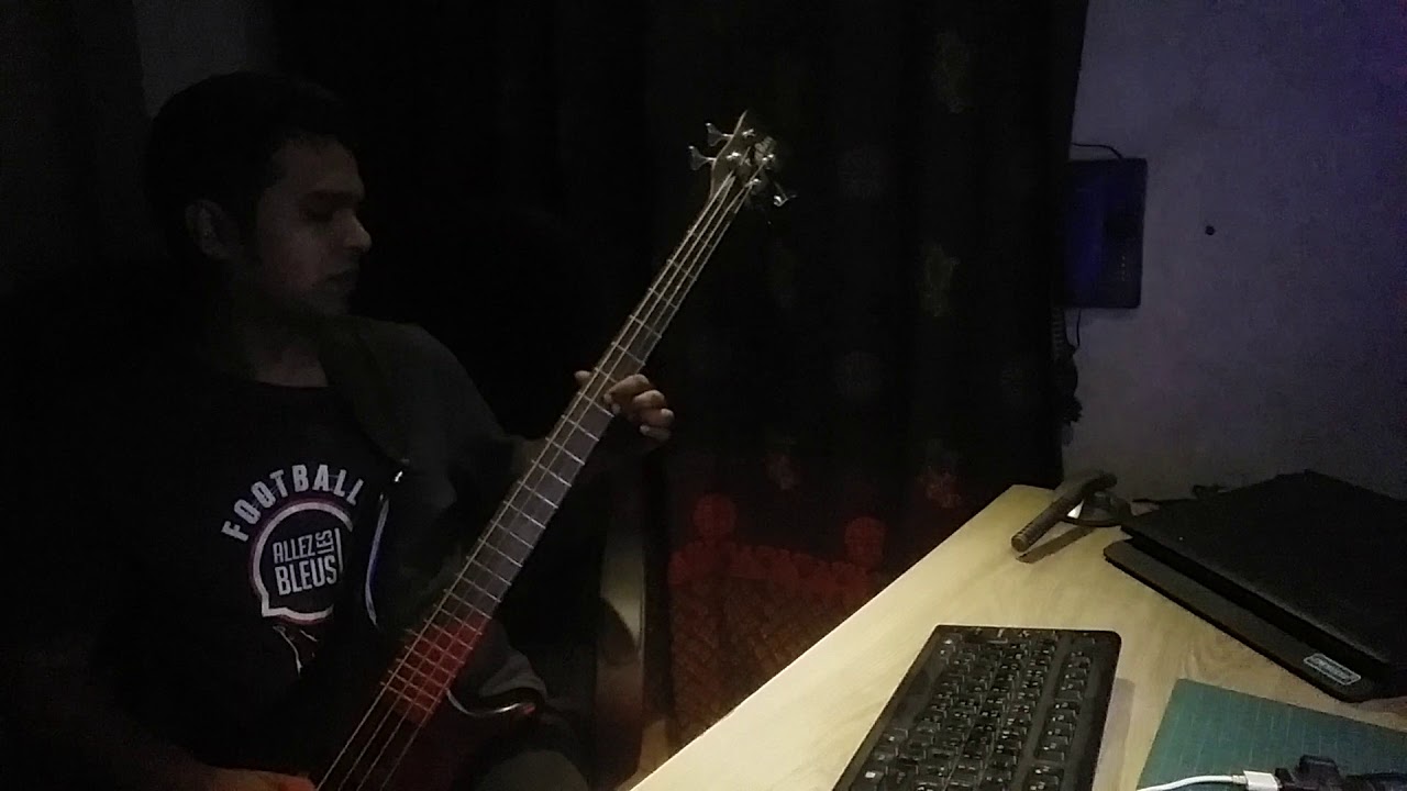 Seether ft Amy Lee - Broken Bass Cover - YouTube