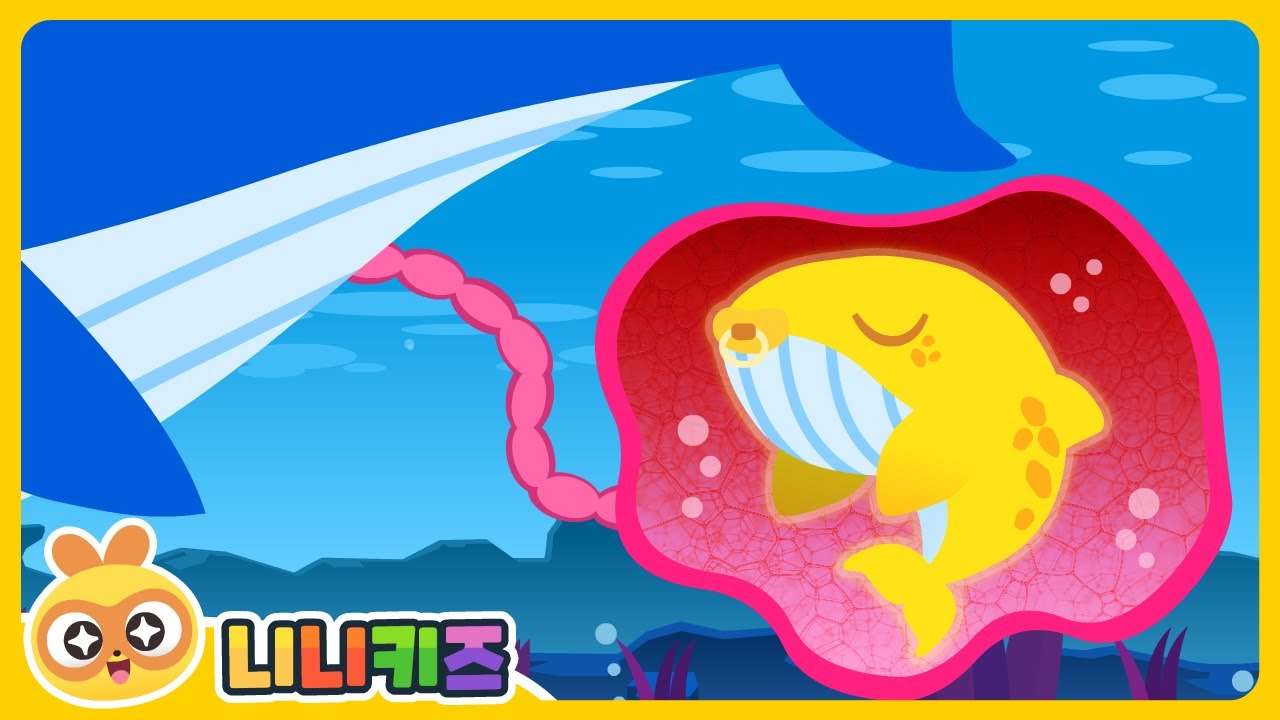 엄마 고래가 아파요! | 아기를 낳아요 | 아기 고래 | 색깔놀이 | 니니키즈 NINIkids - YouTube