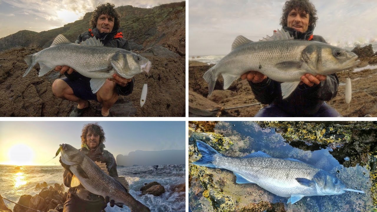 Big Bass Diaries 2 - Big Sea Bass On Lures Part 2 (Multiple Double ...