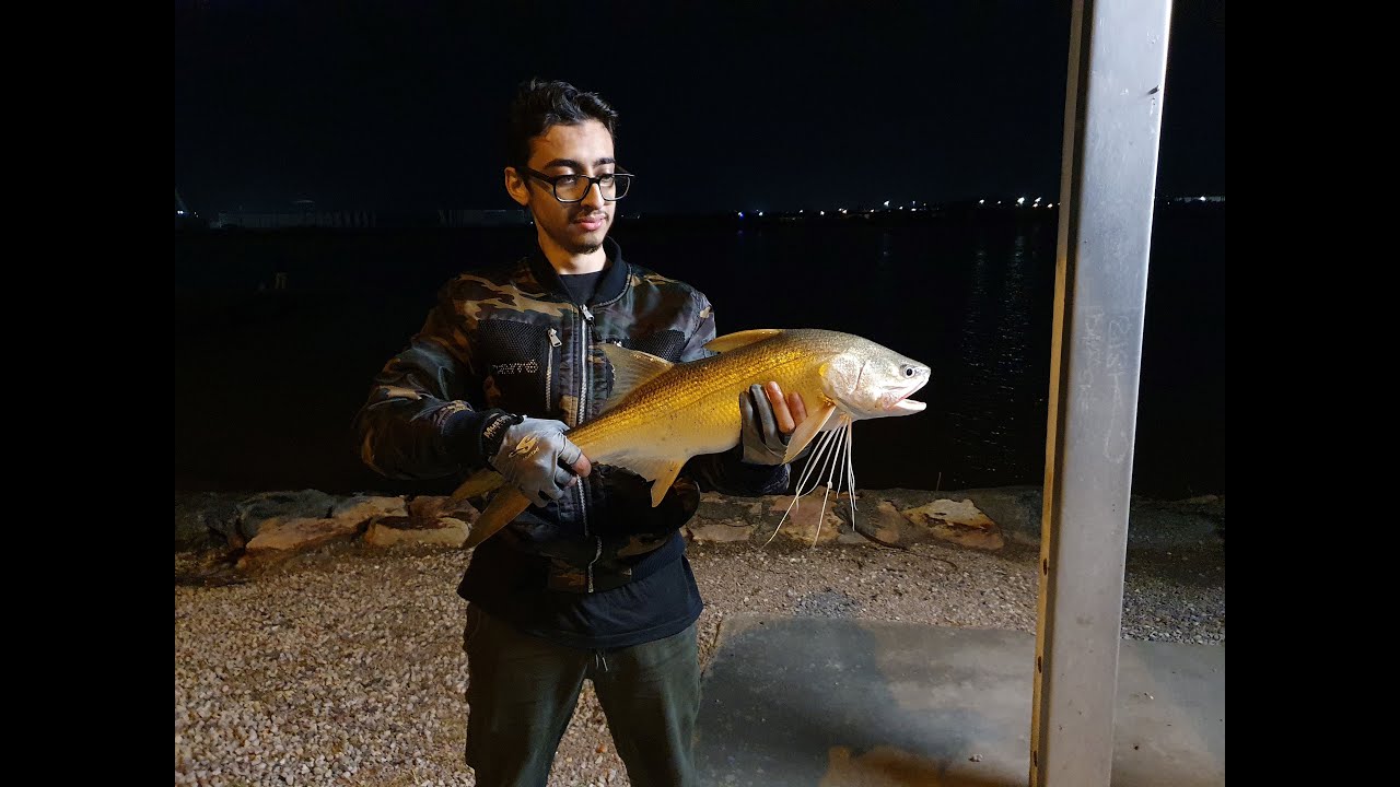 Pinkenba Boat Ramp Fishing - YouTube