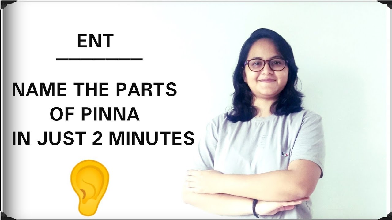 Parts of PINNA ( EXTERNAL EAR )- ENT QUICK REVIEW - YouTube
