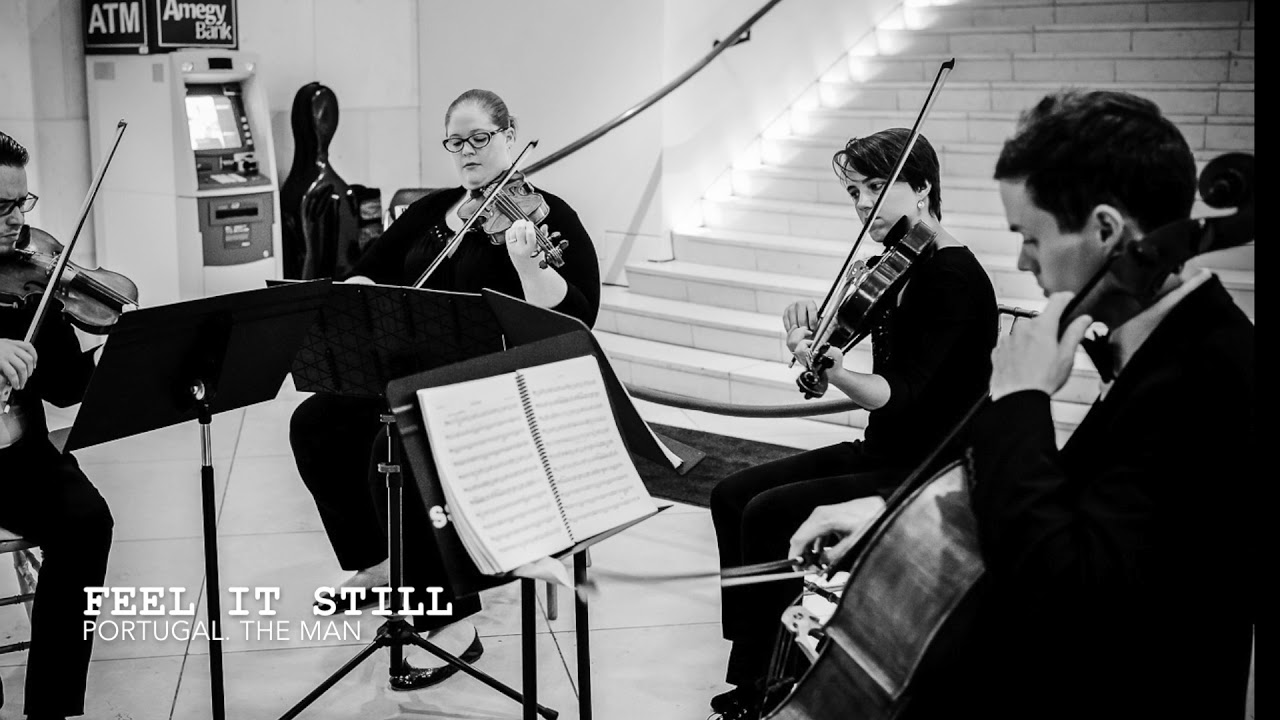 "Feel It Still" - Portugal. The Man (Divisi Strings Quartet Cover ...