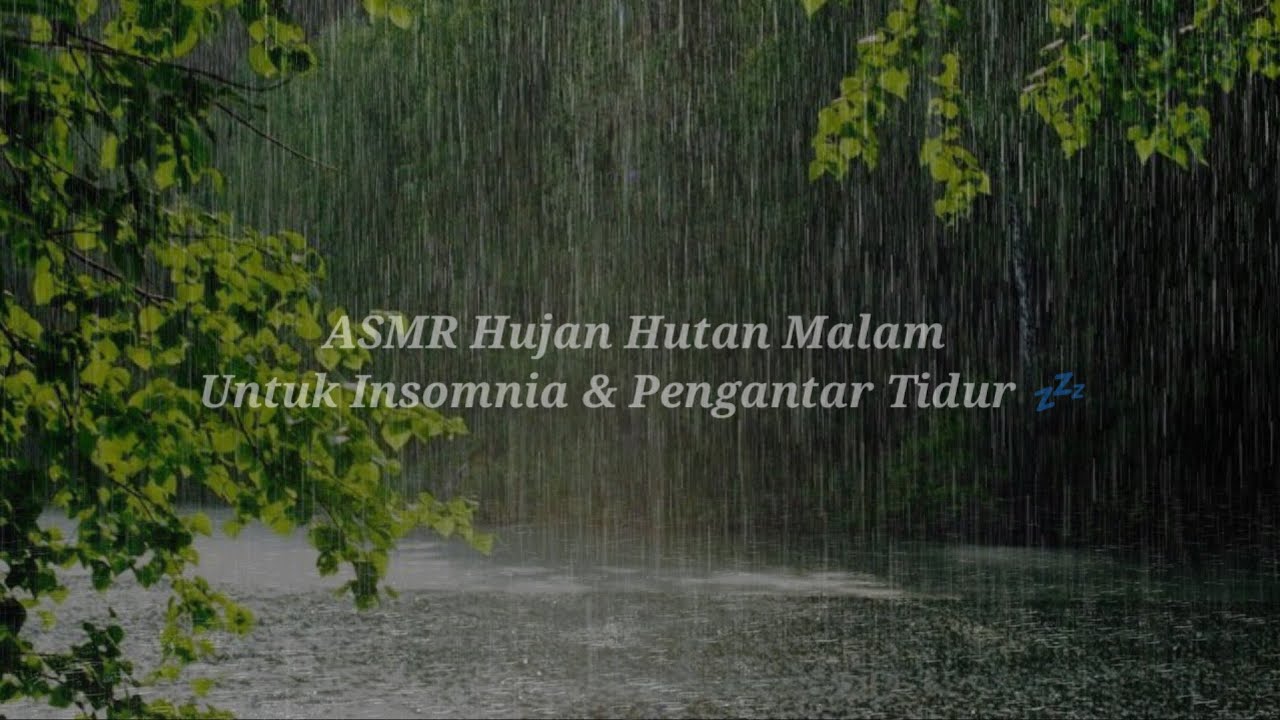 ASMR Hujan Hutan Malam 🌧 Tidur Nyenyak Atasi Insomnia & susah tidur #13 ...