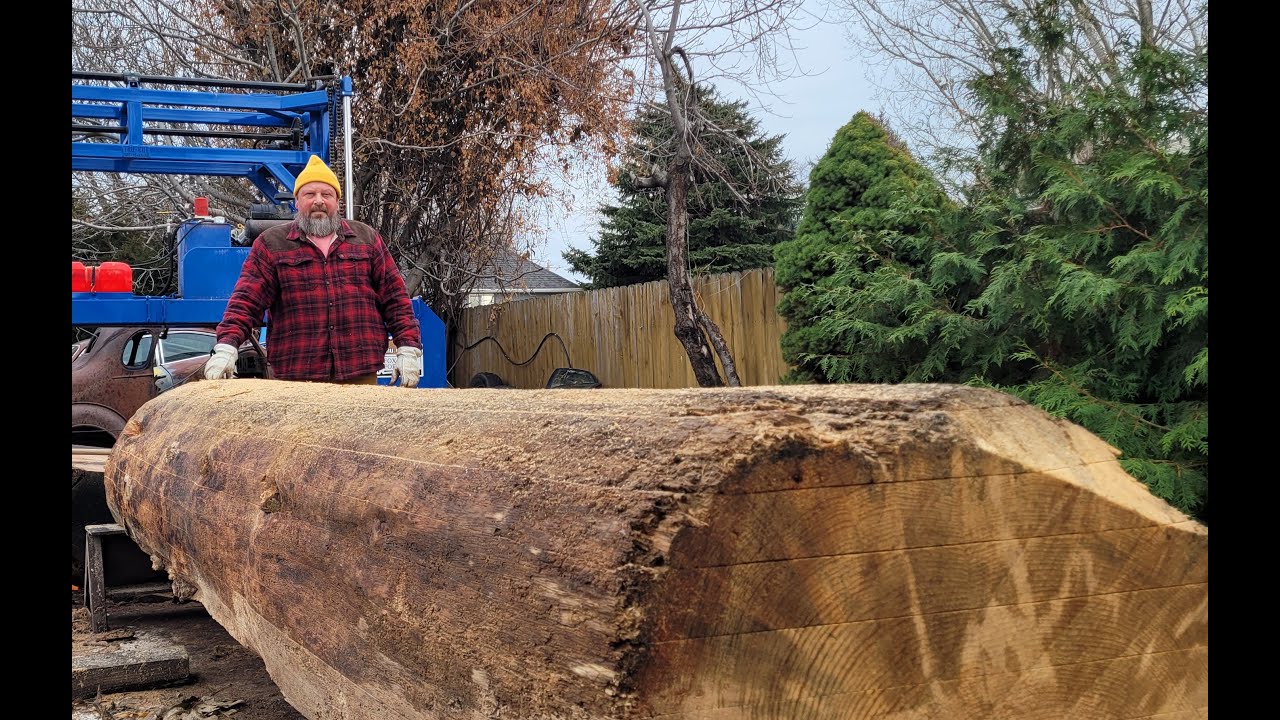 Sawmilling A Beautiful Big Blue Pine with our Tru-Cut Sawmill - YouTube