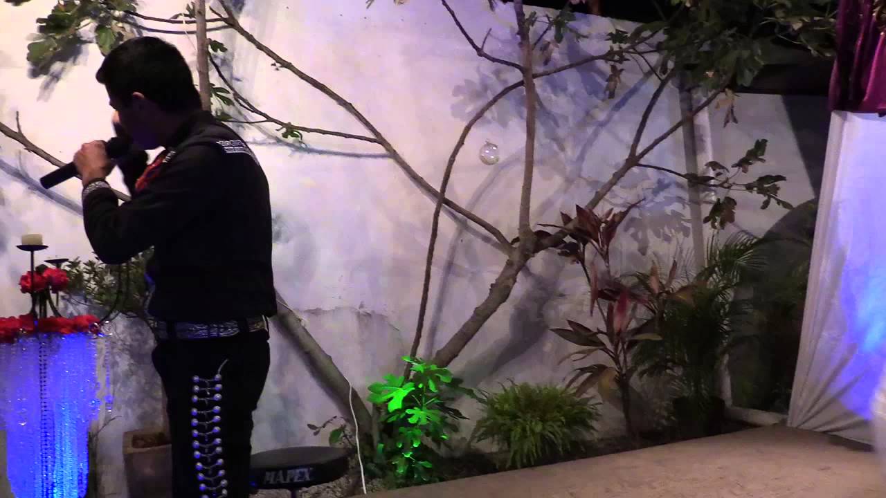 José Aldaco Cucurrucucu Paloma - YouTube