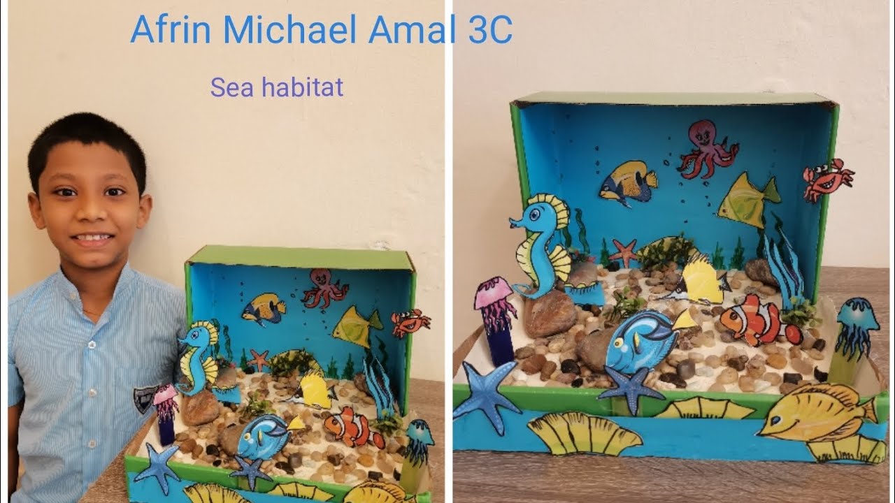 Sea habitat project for school - YouTube