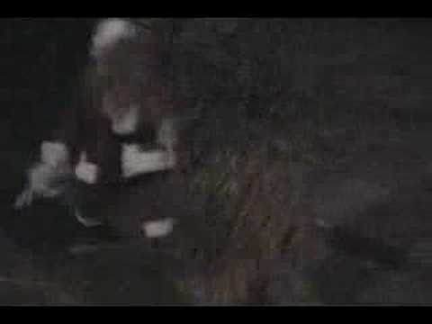 Elevator - Flo Rida feat Timbaland. Music Video - YouTube