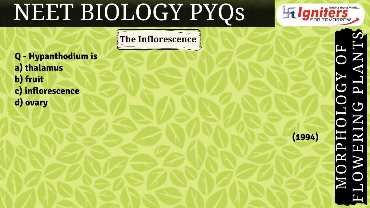 Hypanthodium is a) thalamusb) fruit c) inflorescence d) ovary - YouTube