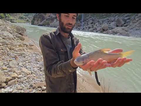 Nomadic Fishing: An Adventure in the Heart of Authentic Iranian Life