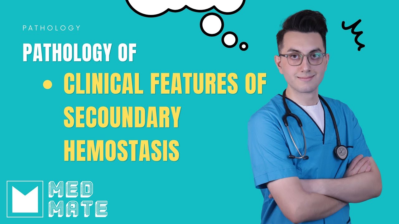 Clinical features of secoundary hemostasis - Pathology - YouTube