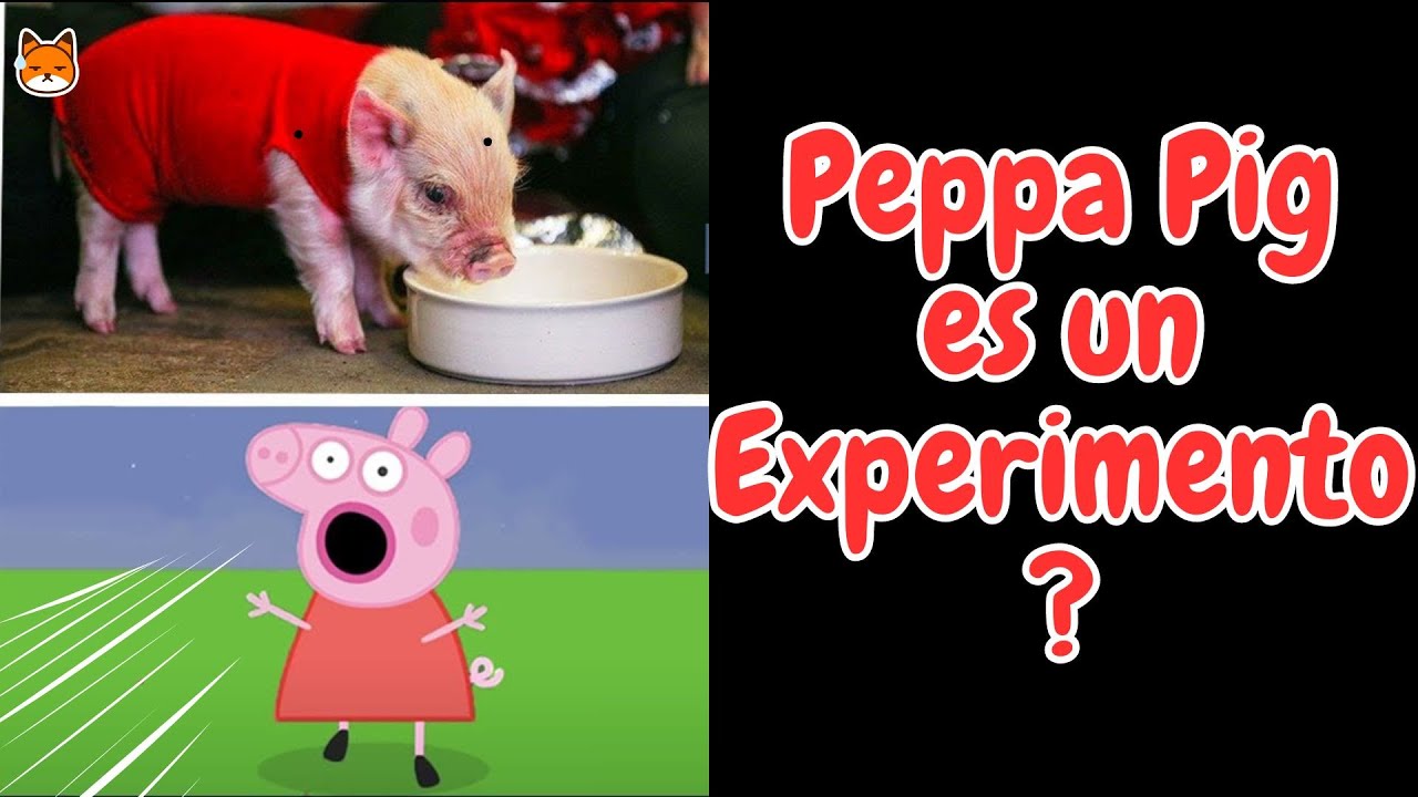 5 Teorias de Peppa Pig y su familia. Es la familia Pig un experimento ...