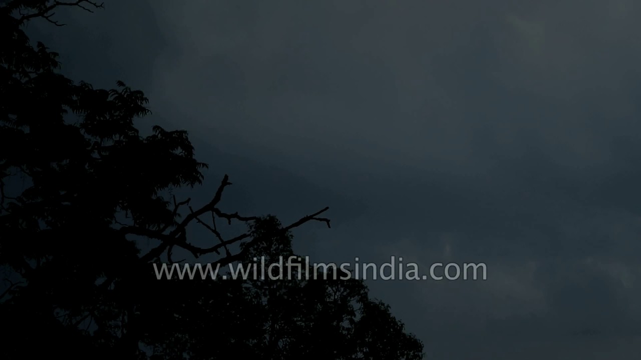 Rain and lightning in Landour, Uttarakhand - YouTube