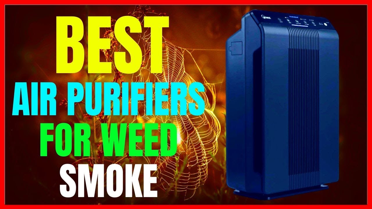 TOP 5: Best Air Purifiers with Permanent and Washable Filters 2023 ...