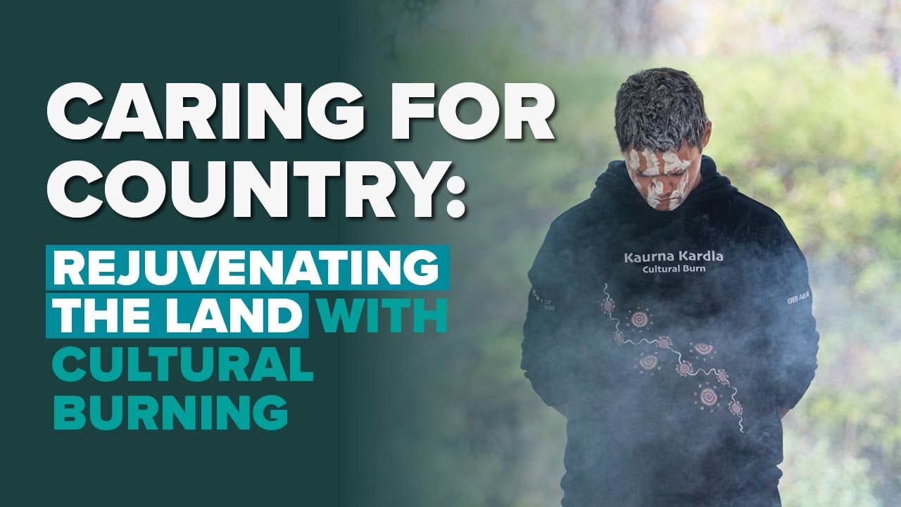 Caring For Country: Rejuvenating The Land With Cultural Burning - YouTube