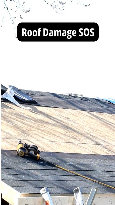 Roof Damage SOS: Signs You Need Help Immediately #shorts #roofing #roofingexpert #ny #roofrepair ...