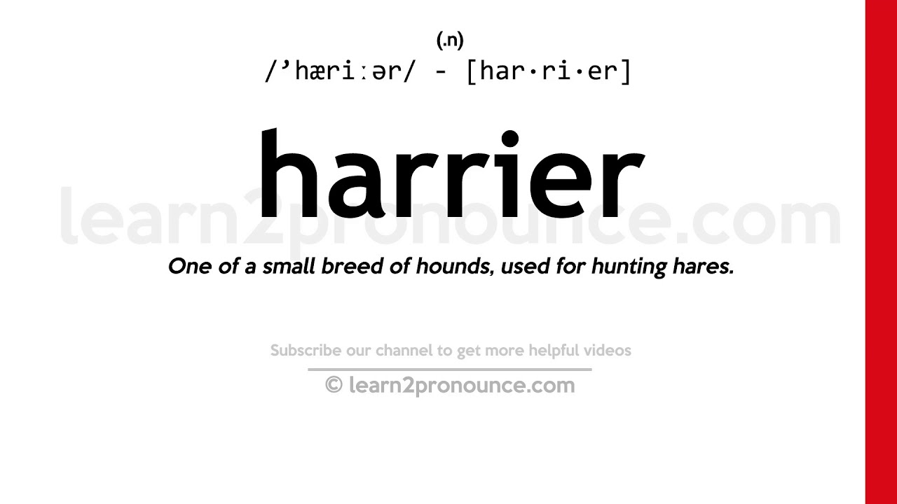 Pronunciation of Harrier | Definition of Harrier - YouTube