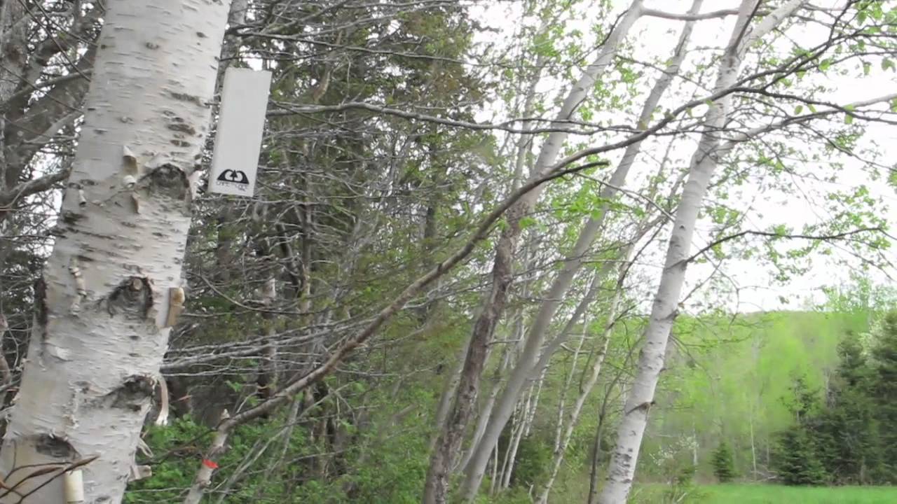 Rogers Hill Trail from Durham Hill to Quarry Brook - YouTube