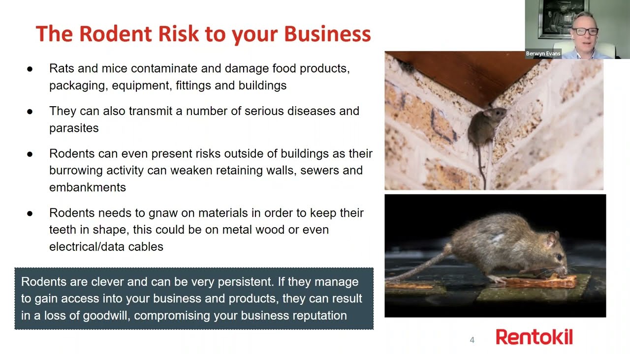 Rodent Risks - Rentokil Webinar - YouTube