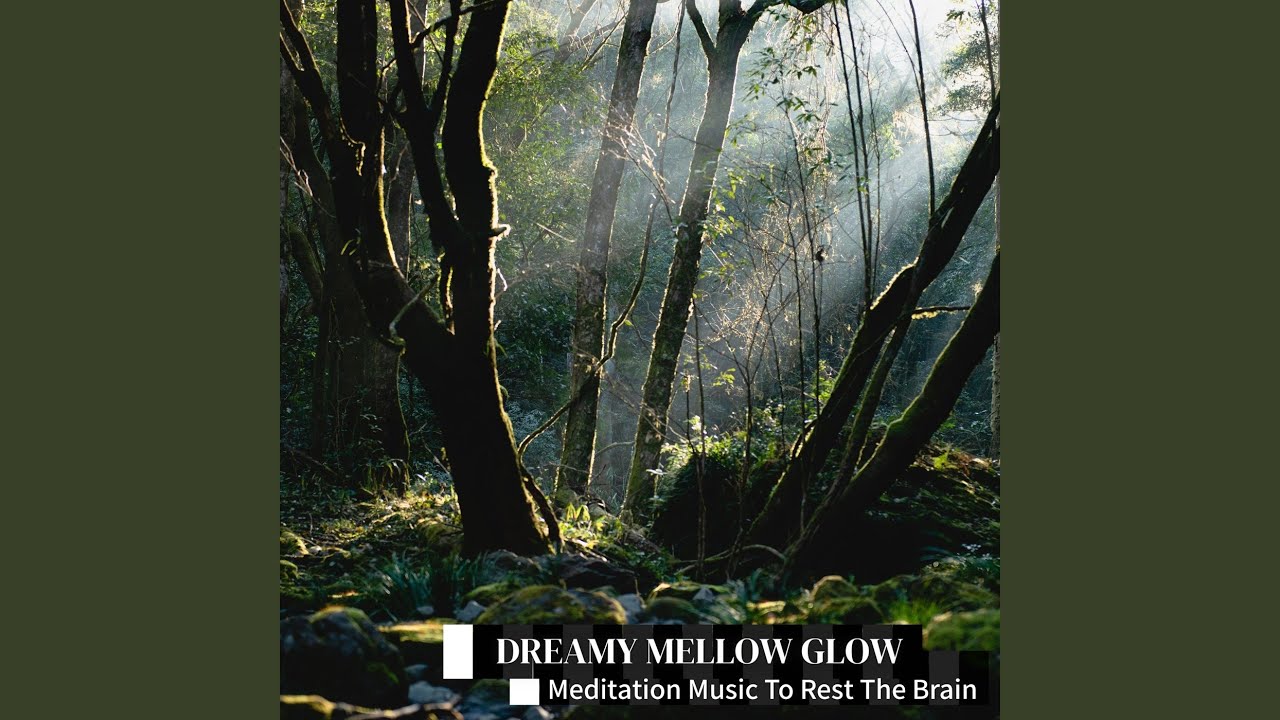 Solace in the Starlight Gleam - YouTube