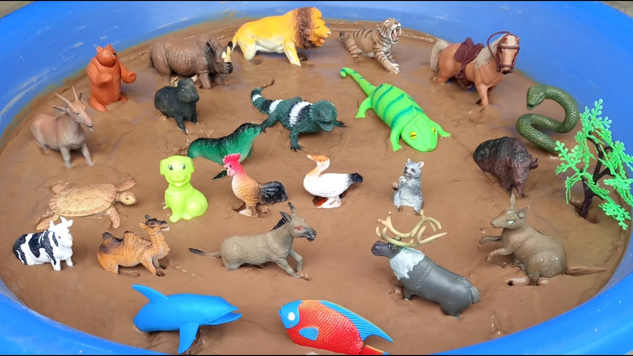 Domestic Animals and Forest Animals Adventure in the Sandbox - YouTube