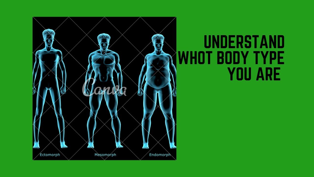 "Understanding Your Body Type: The Ultimate Guide to Achieving You ...