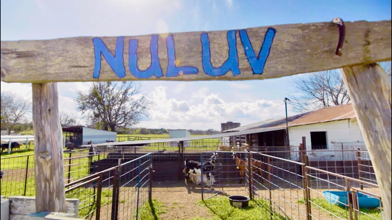 🐐 Dairy in TEXAS makes All Natural GOAT MILK Products - YouTube