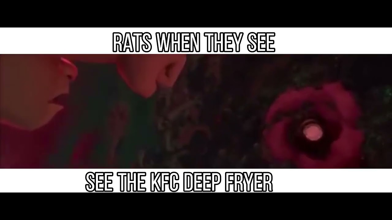 Rats when deep fryer: - YouTube