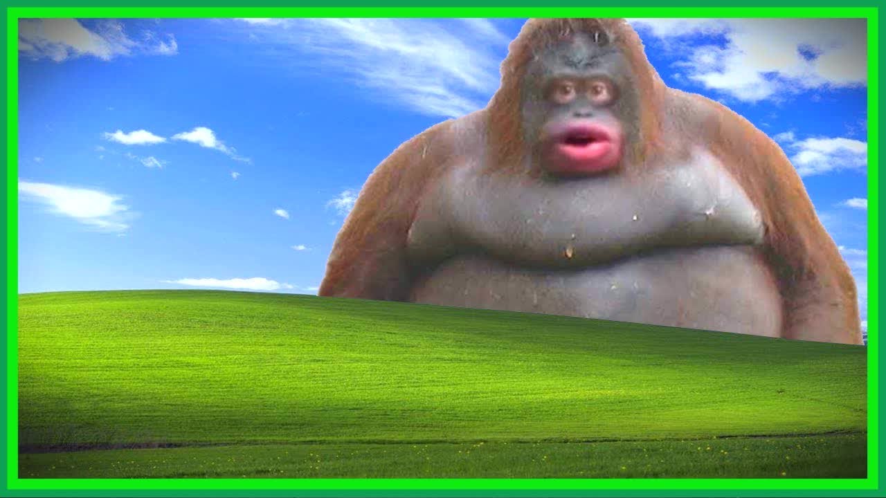 memes that i found in my hidden folder - YouTube