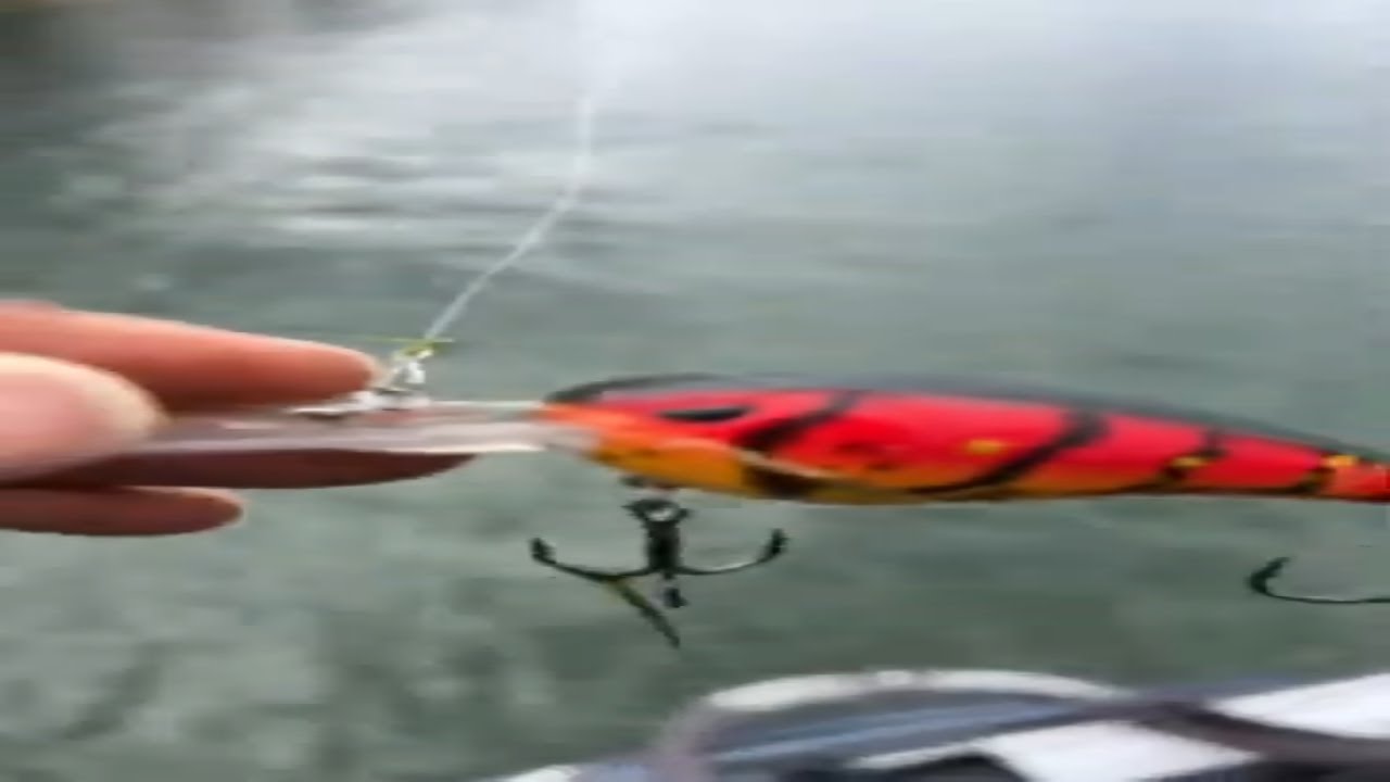 Bass Fishing - $100 Bass For Cash - YouTube