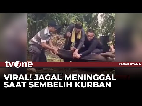 Ustaz Meninggal saat Menyembelih Sapi Kurban di Bogor | Kabar Utama tvOne