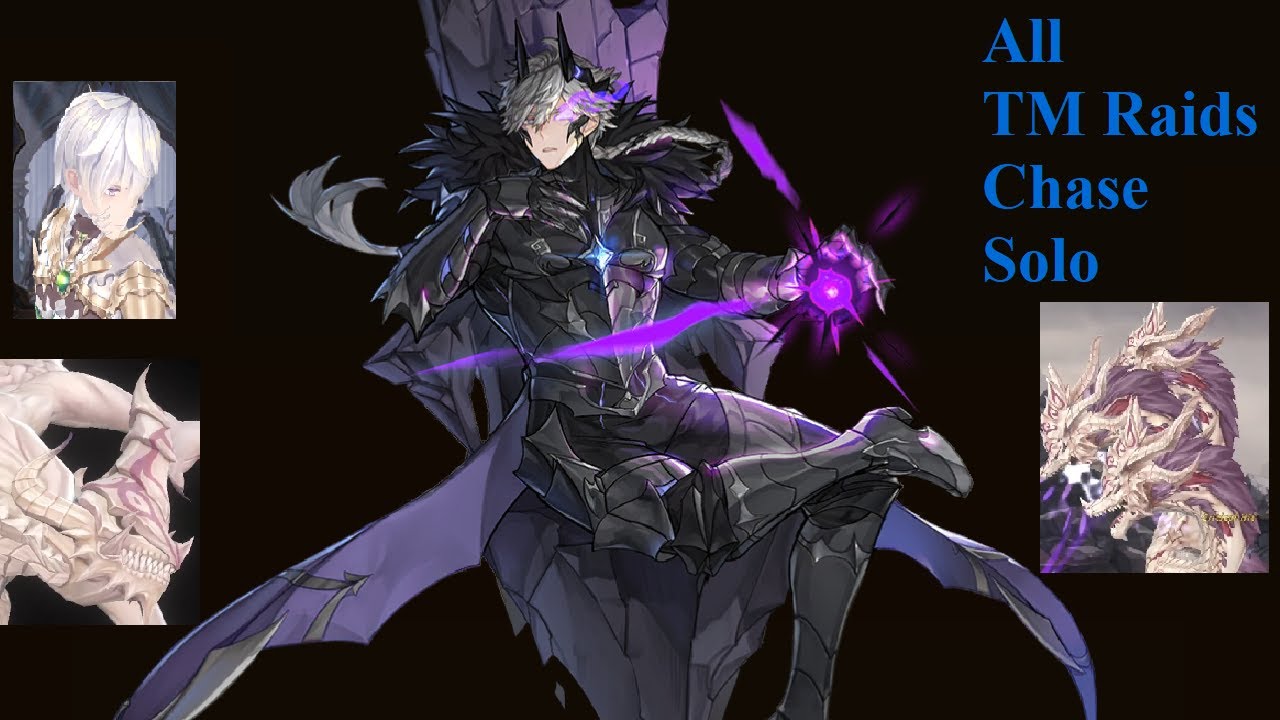 King's Raid: All TM Raids - Chase Solo (One Man Army) - YouTube
