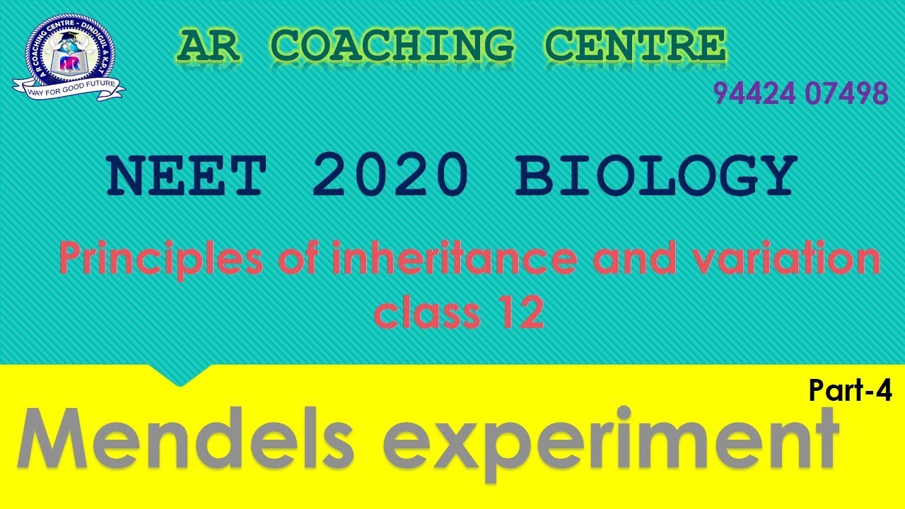 Mendels experiment/Principles of inheritance and variation class 12 ...
