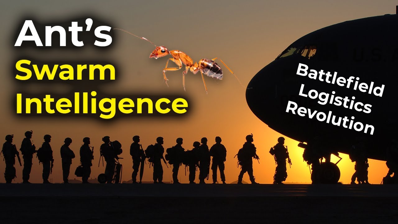 Ant's swarm intelligence | Battlefield logistics revolution - YouTube