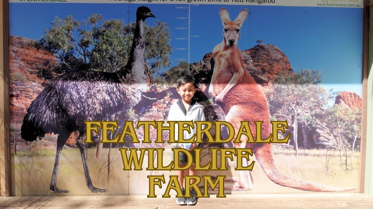 Keeping a Promise | Featherdale Wildlife Farm visit - YouTube