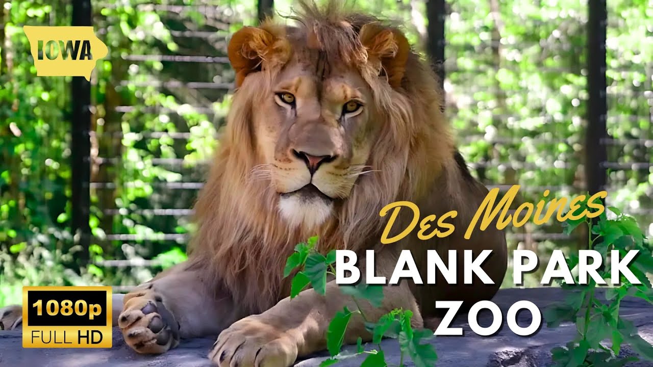 Iowa Travel Guide: Is Blank Park Zoo Des Moines Iowa’s Best Attraction ...