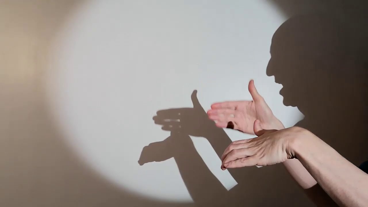 50 How to make a hand shadow hippopotamus - YouTube