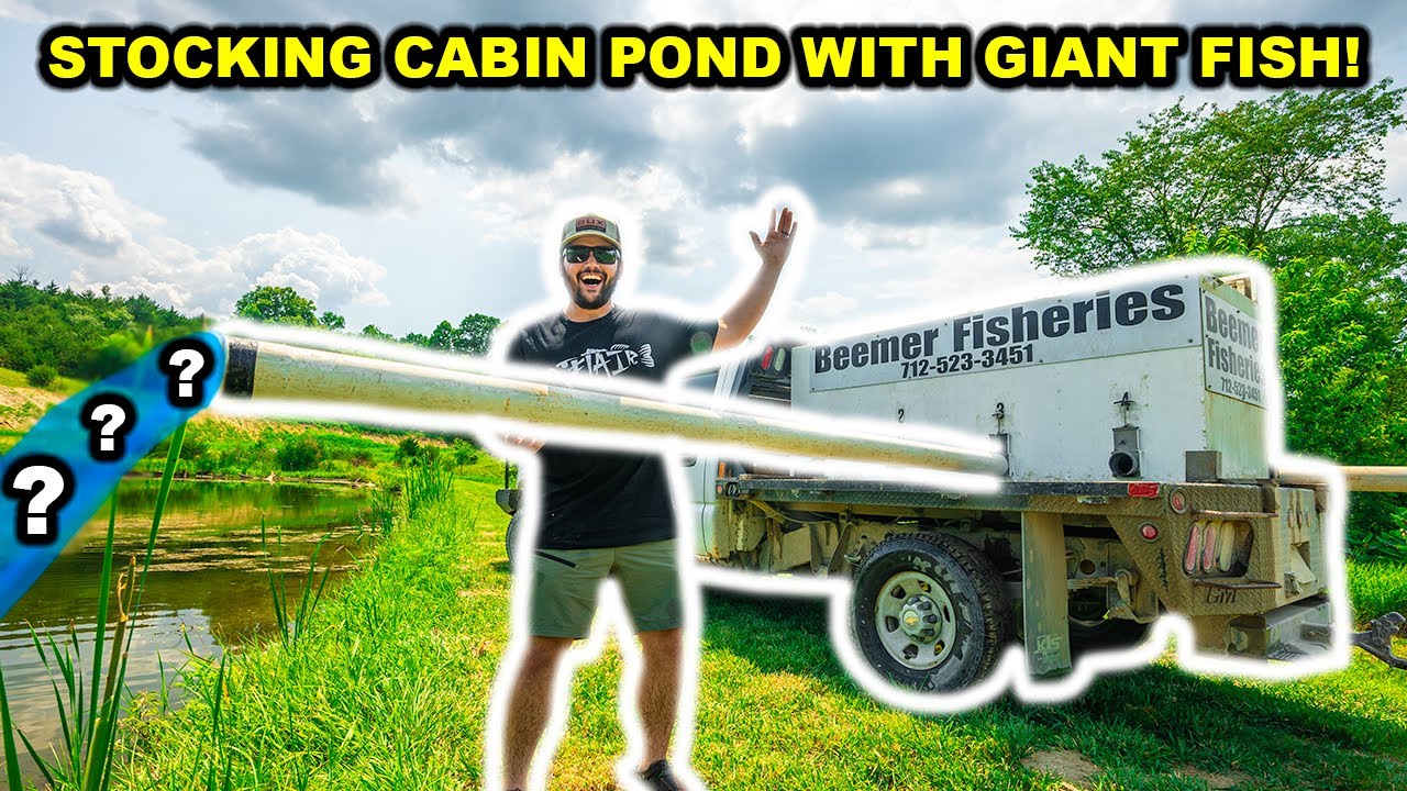 STOCKING TRUCK Delivers GIANT FISH for My BACKYARD CABIN Pond!!!! - YouTube