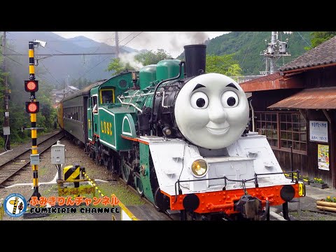 【電車】踏切動画  62【ふみきり 鉄道】大井川鐵道 大井川本線 DAY OUT WITH THOMAS in Japan
