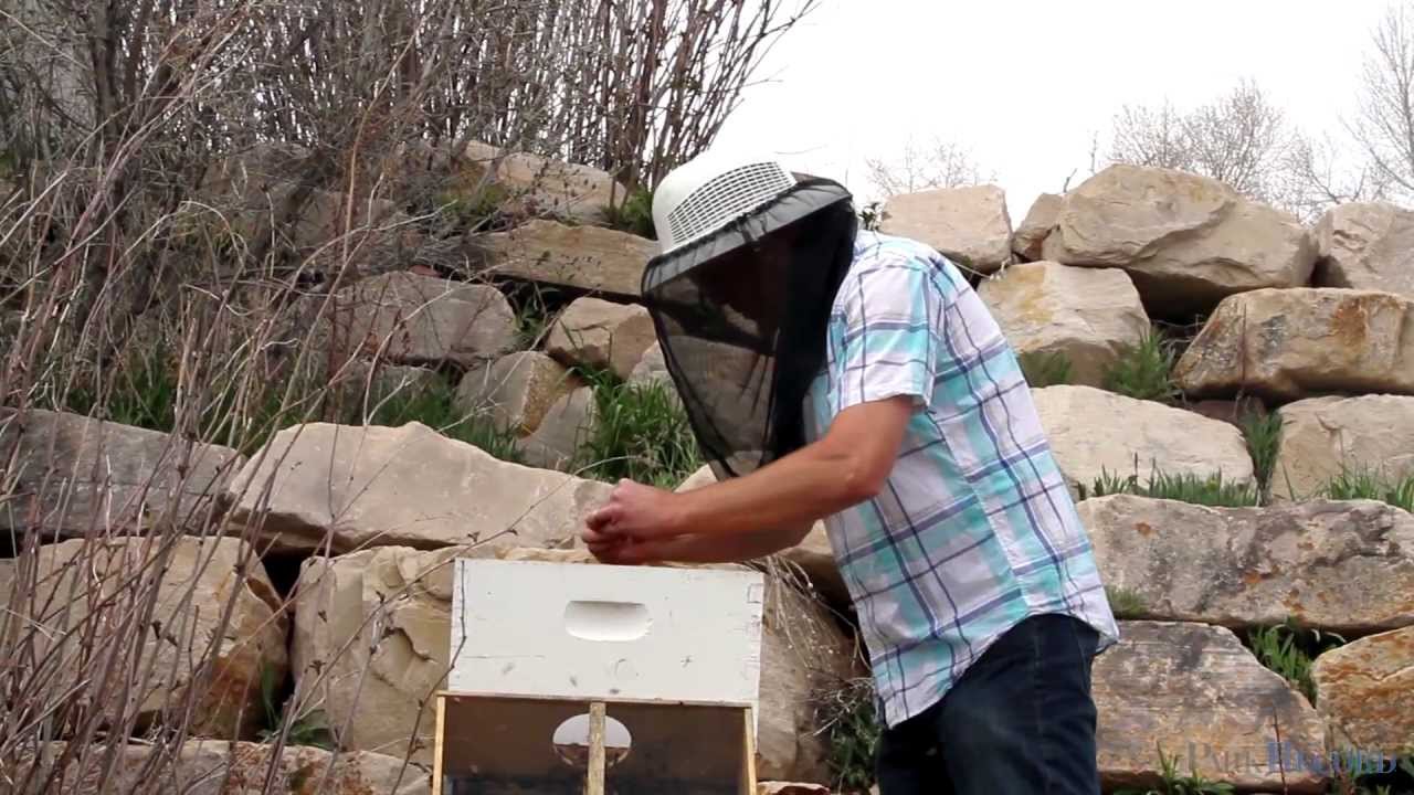 Copper Moose Farm Open House - YouTube