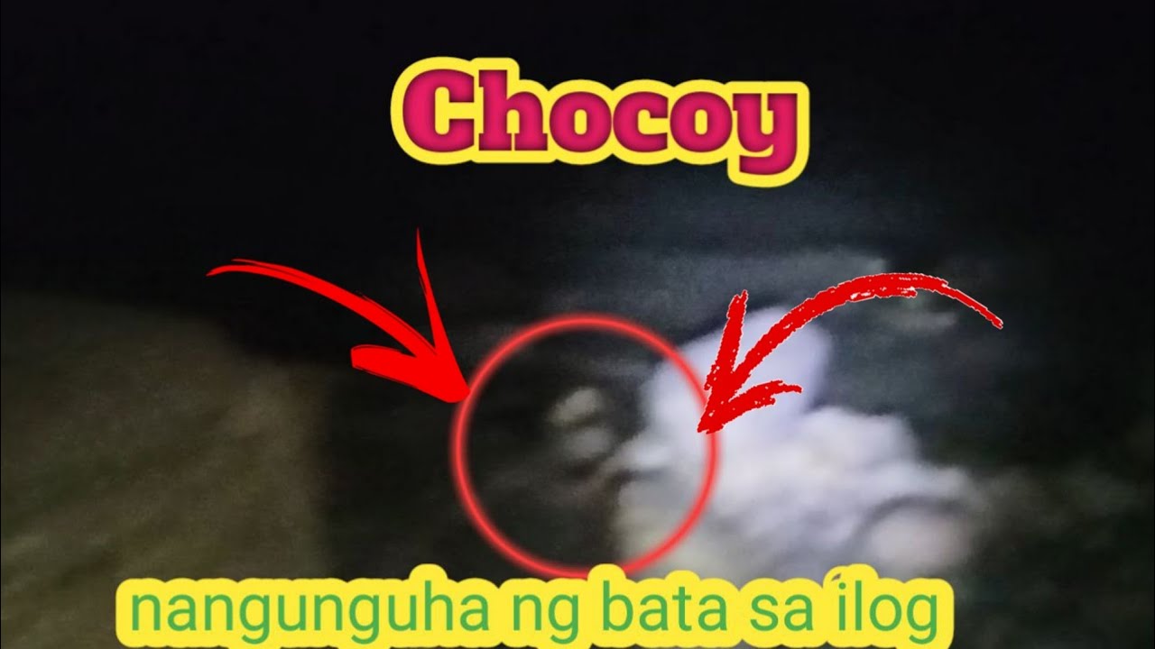 chocoy - YouTube