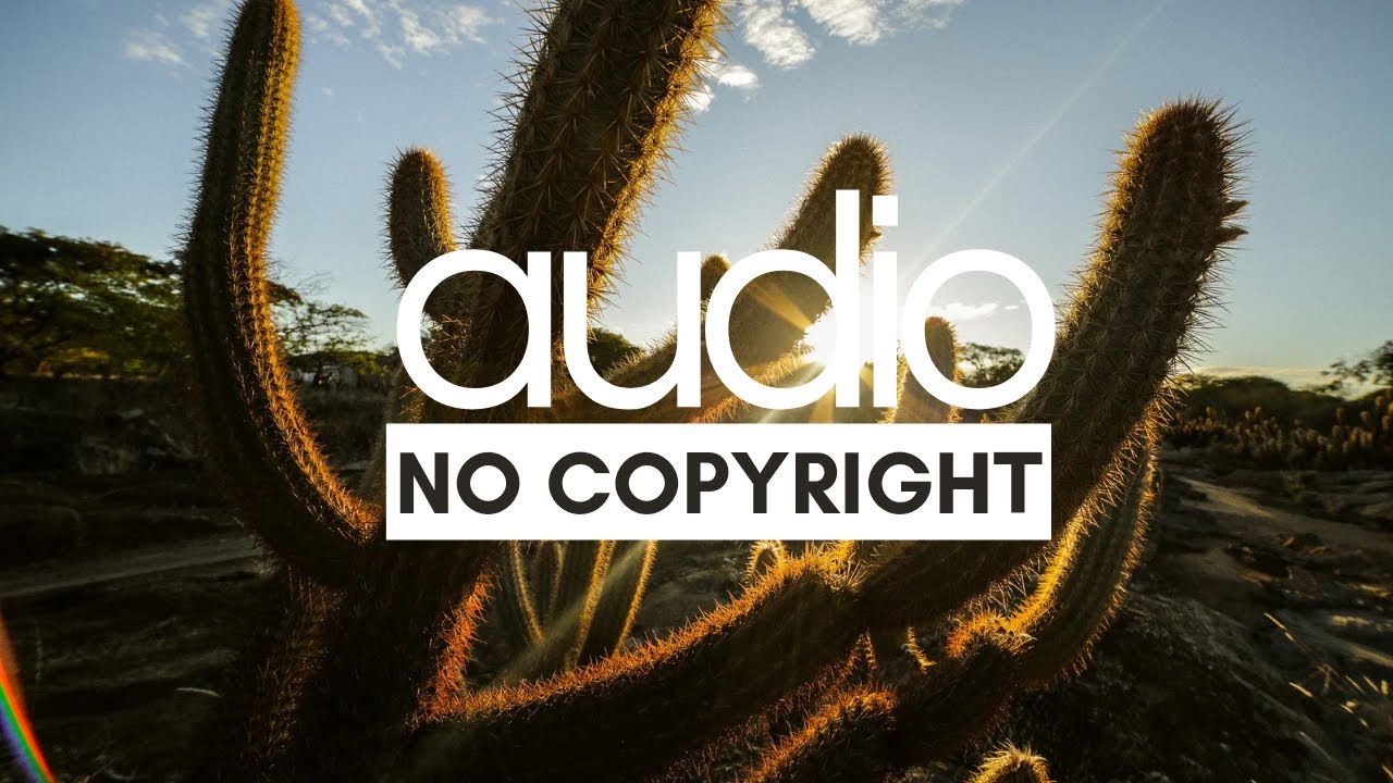 Island Wave - TrackTribe ( Sound Audio No Copyright Music ) - YouTube